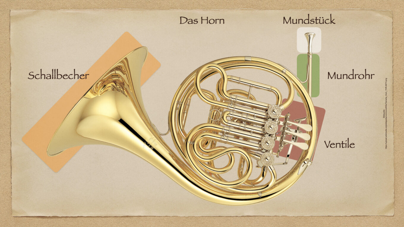 Die Blechblasinstrumente – Musik in der Schule